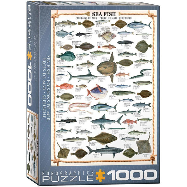 Sea Fish 1000 Piece Jigsaw Puzzle Eurographics – Puzzle Merchant