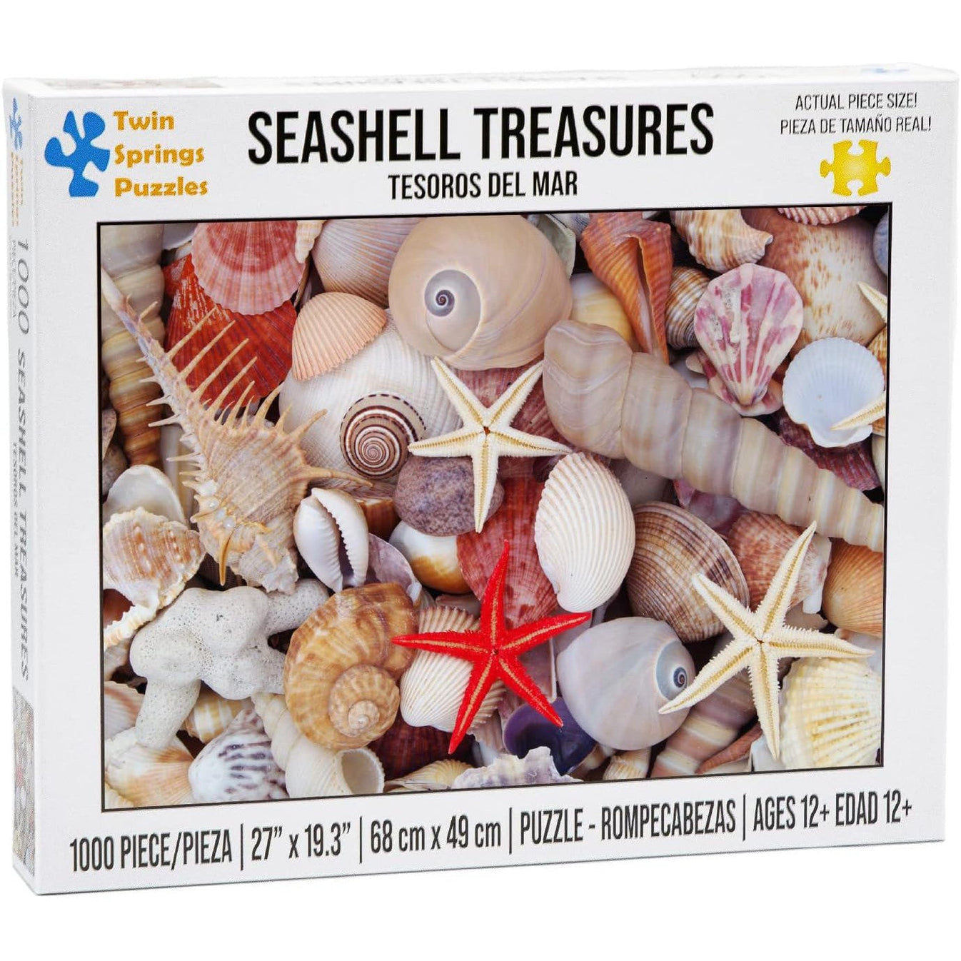 Seashell Treasures 1000 Piece Jigsaw Puzzle Twin Spring – Puzzle Merchant