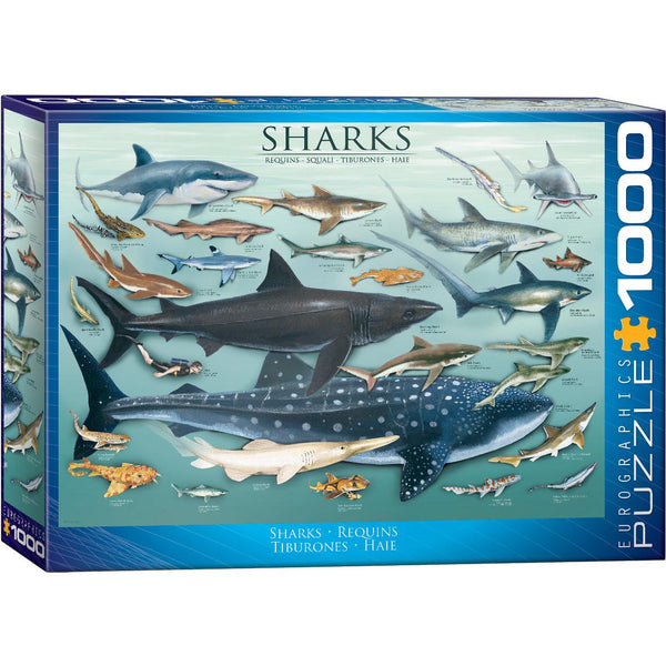 Sharks 1000 Piece Jigsaw Puzzle Eurographics – Puzzle Merchant
